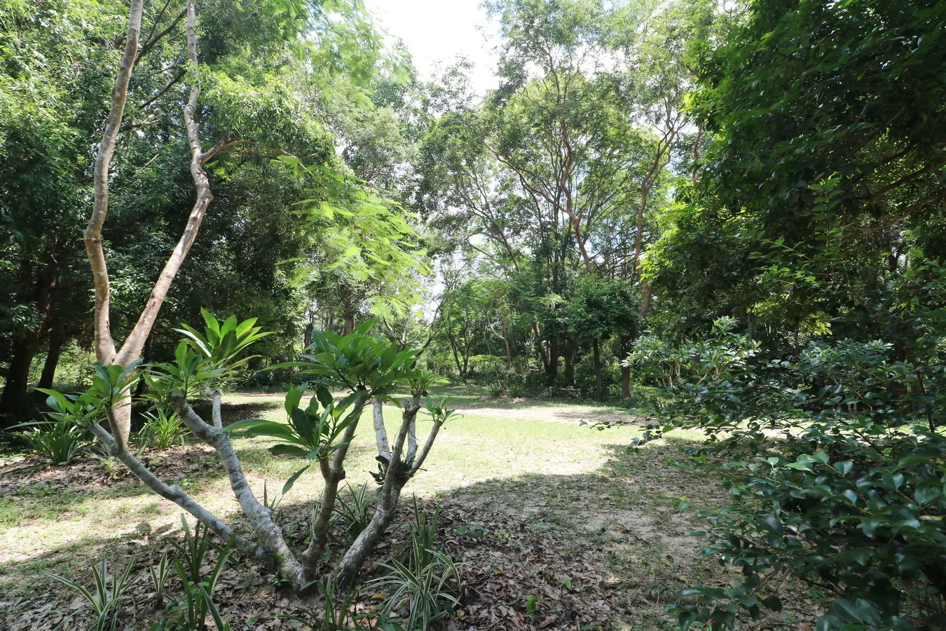 Grundstück zum Kauf in Tha Uthen, Nakhon Phanom - $1,260,000 | U5779337