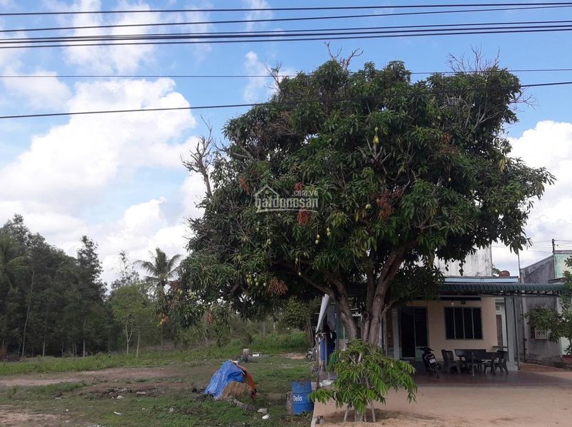 Studio Villen kaufen in Binh Thuan - AsiaVillas