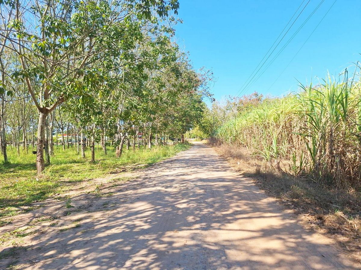 Grundstück zum Kauf in Nong Wua So, Udon Thani - ฿2,500,000 | U5966965