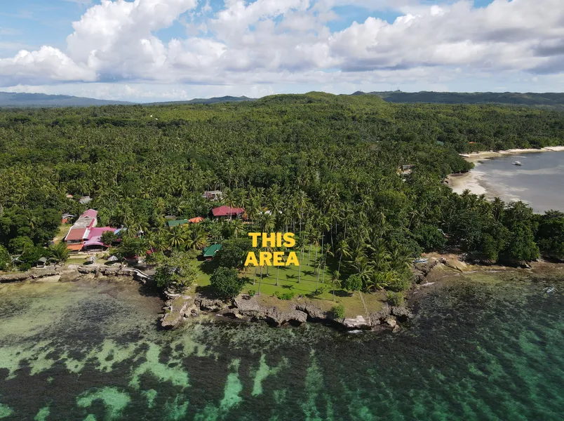 Grundstücke mit Direkt am Strand kaufen in San Francisco, Cebu - AsiaVillas