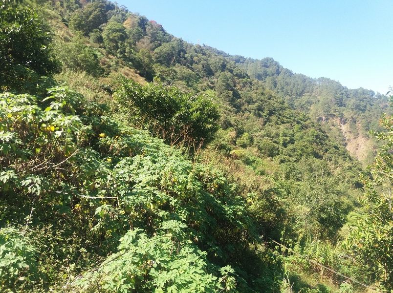 Property with River or Canal View for Sale in Cordillera