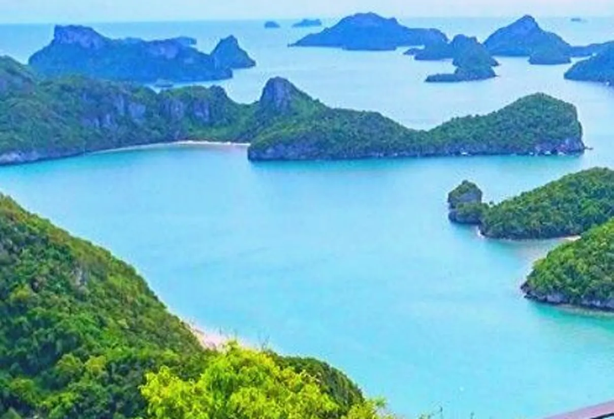 Ficus Residence The Leaf Collection - in Surat Thani | LivePhuket