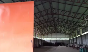 Commercial Real Estate for Sale in Doi Lan, Mueang Chiang Rai