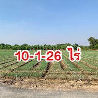Land For Sale in Thailand - 5,396 Listings | KaiBaanThai