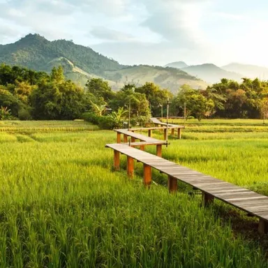 Houses for Sale in Chiang Rai - 201 Sales | HomesThailand