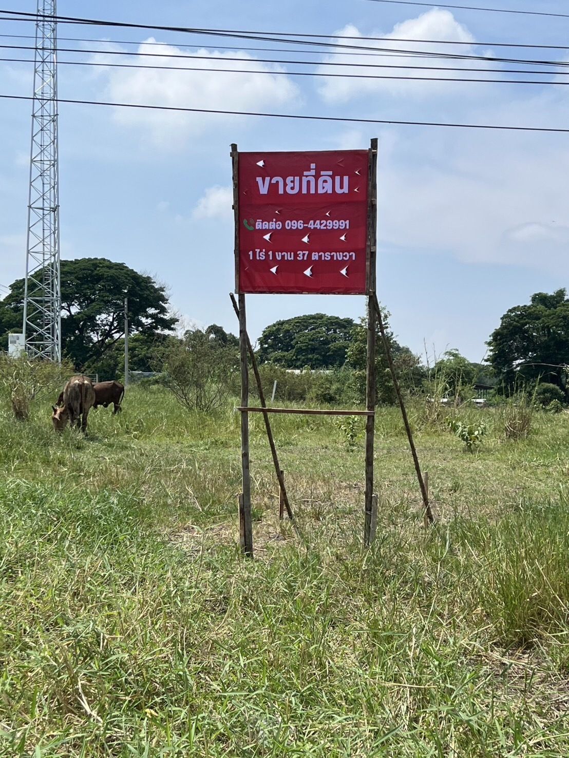 Grundstück zum Kauf in Bang Sadet, Ang Thong - $138,000 | U5801134