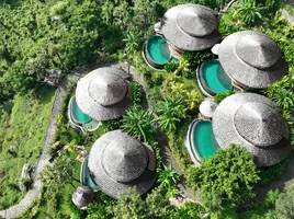 Property with Beachfront for Sale in Abang, Karangasem