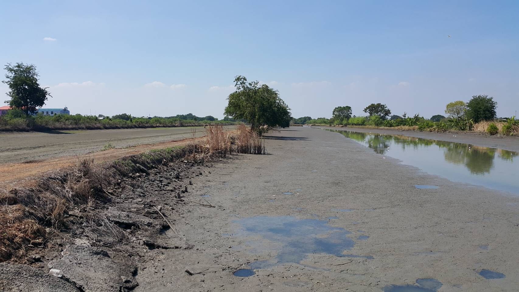 Land for Sale in Lam Pla Thio, Bangkok for ฿311,691,250 | U5933888