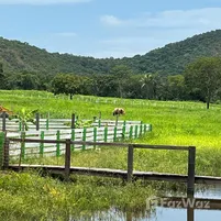 30 Best Land Plots for Sale in Brazil - FazWaz.com.br