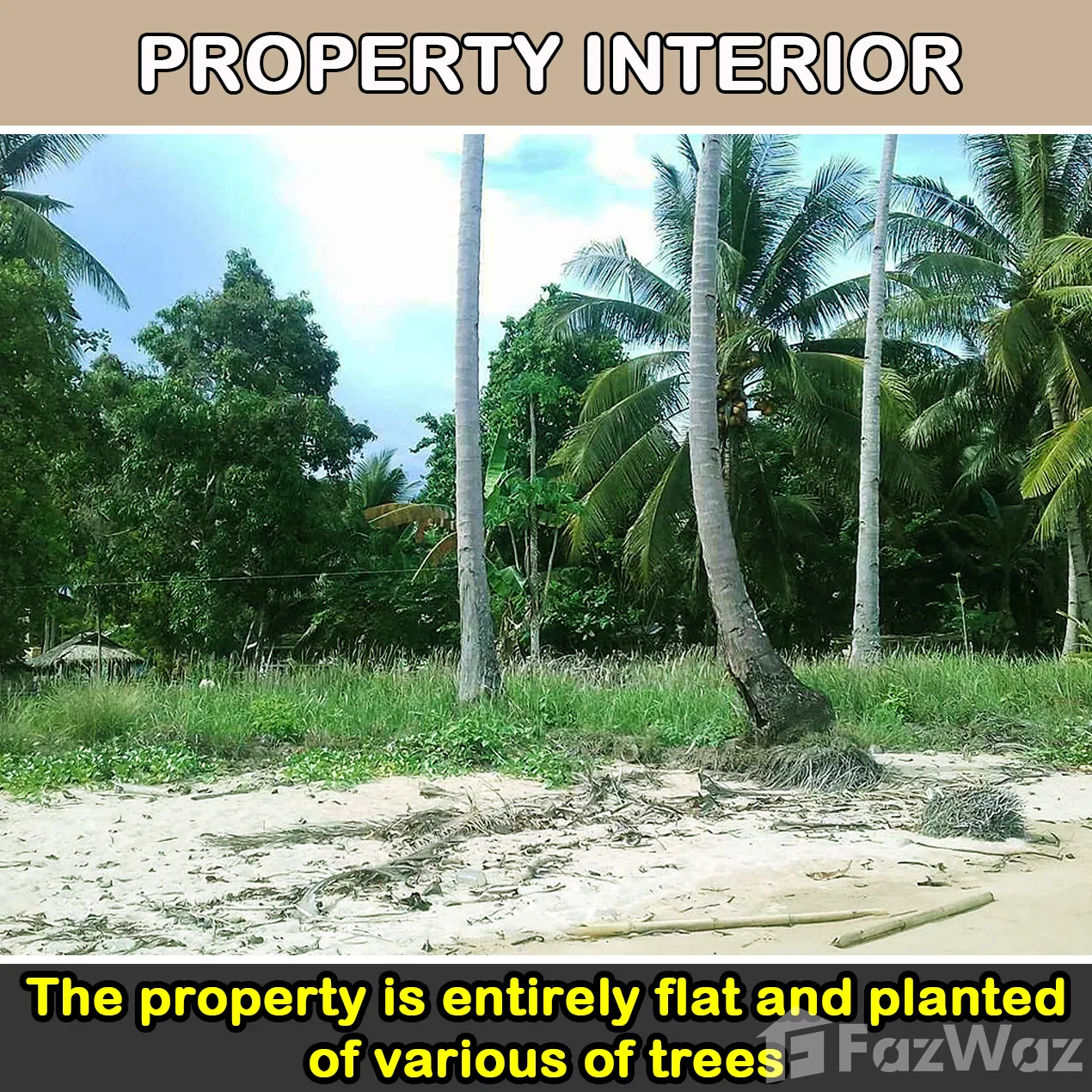 Land for Sale in Roxas, Mimaropa for ₱7,296,000 | U6190890