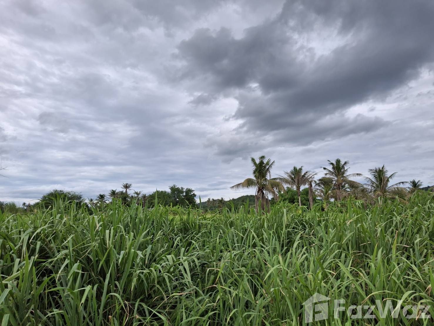 Land for Sale in Thap Tai, Hua Hin for ฿8,500,000 | U1890065