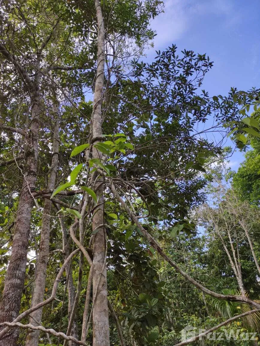 Land for Sale in Iquitos, Loreto for S/2,570,000 | U5796188