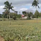 30 Best Land Plots for Sale in the Philippines - FazWaz.ph