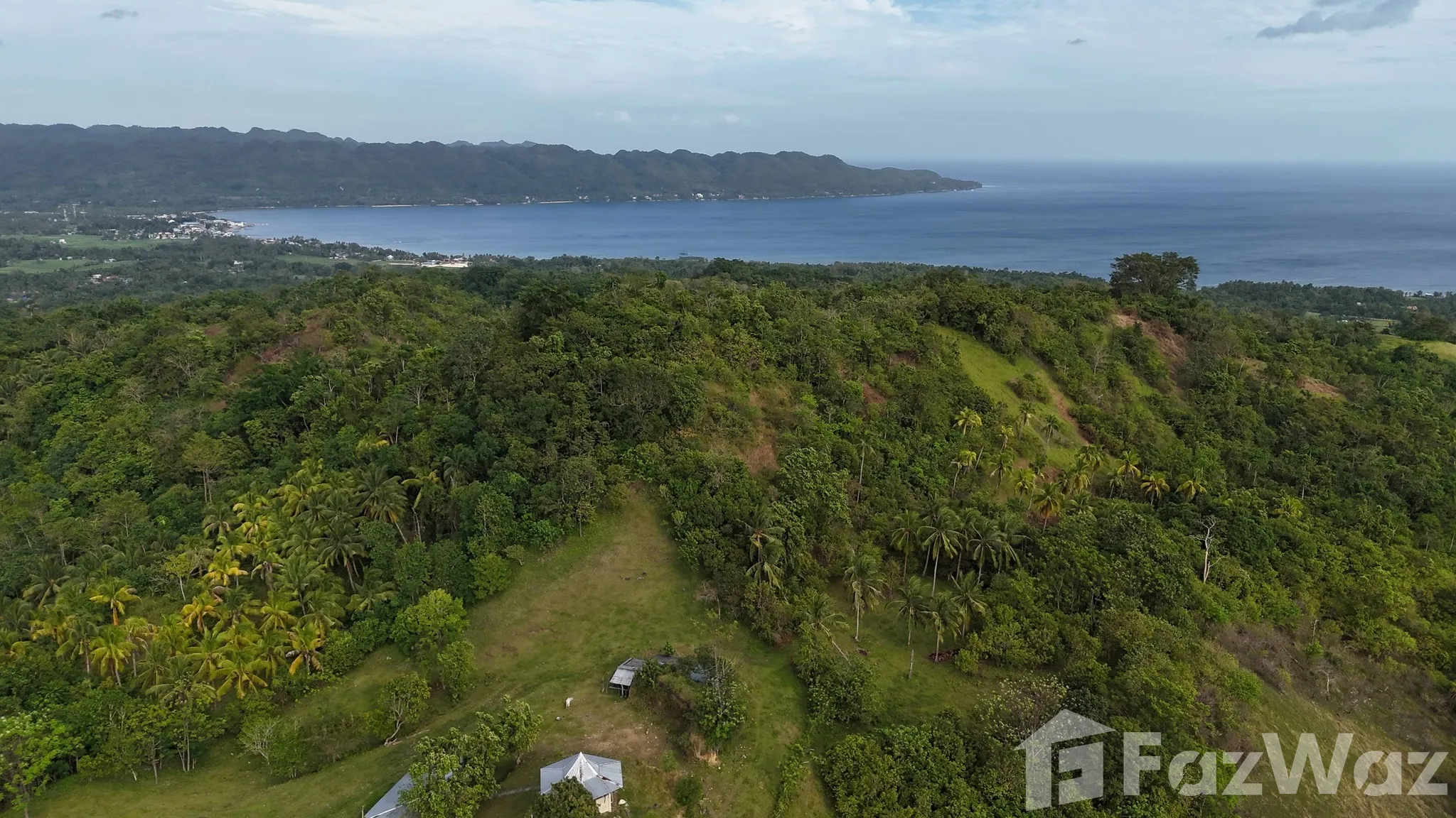 Land for Sale in Ubay, Central Visayas for ₱20,000,000 | U6295936