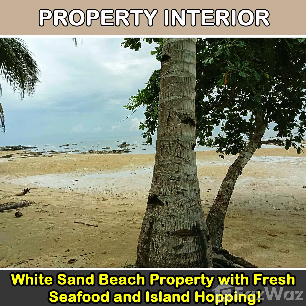 Land for Sale in Roxas, Mimaropa for ₱7,296,000 | U6190890