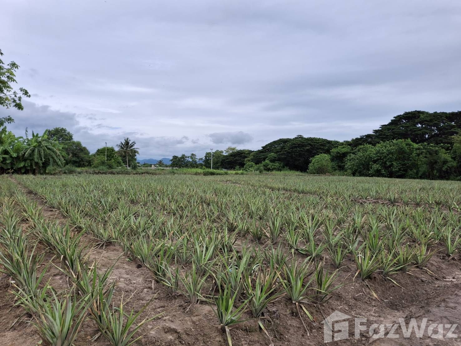 Land for Sale in Thap Tai, Hua Hin for ฿15,000,000 | U1909488