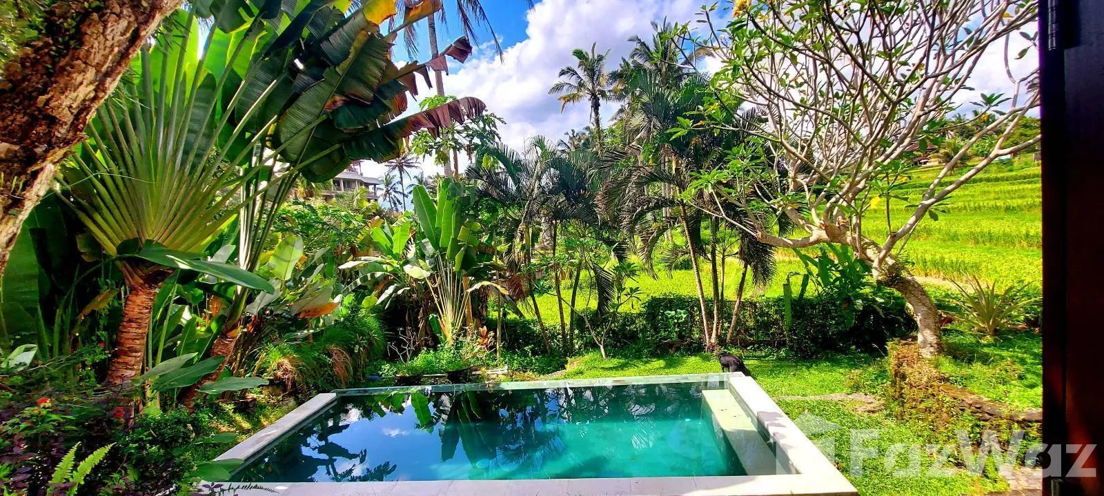 3 Bedroom Villa for Sale in Ubud, Bali for Rp3,490,000,000 | U6054247
