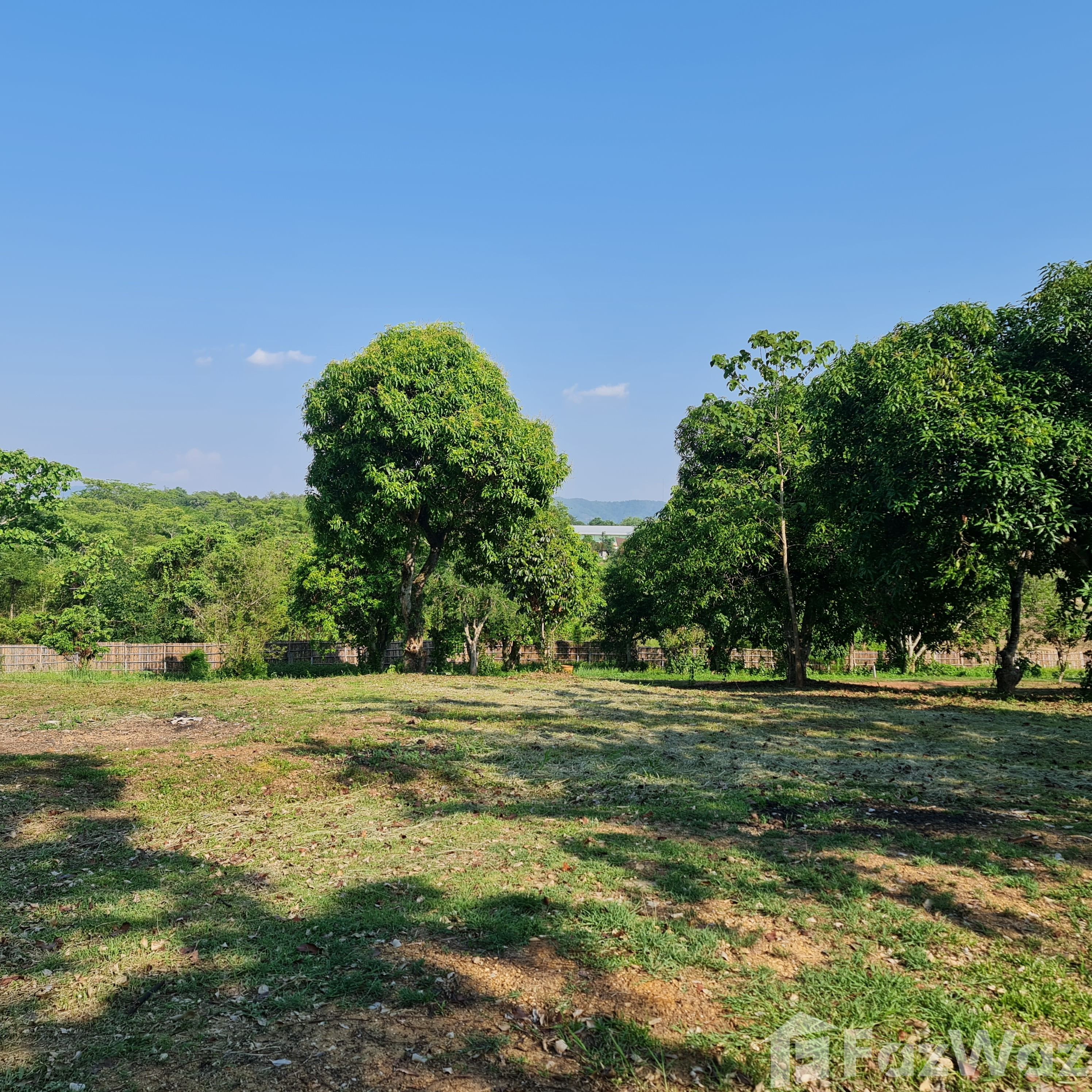Land for Sale in Huai Sak, Chiang Rai for ฿3,950,000 | U5364667