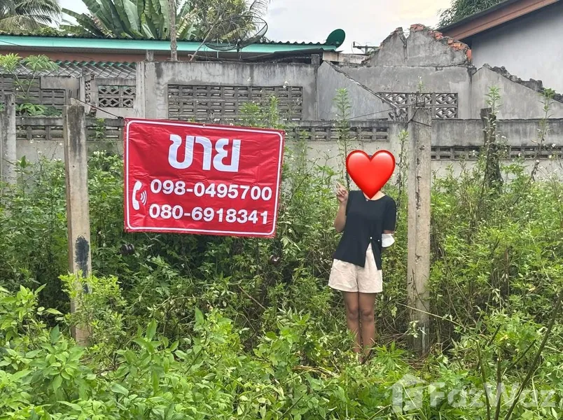 Property for Sale in Ban Na San, Surat Thani - Thaiger Property