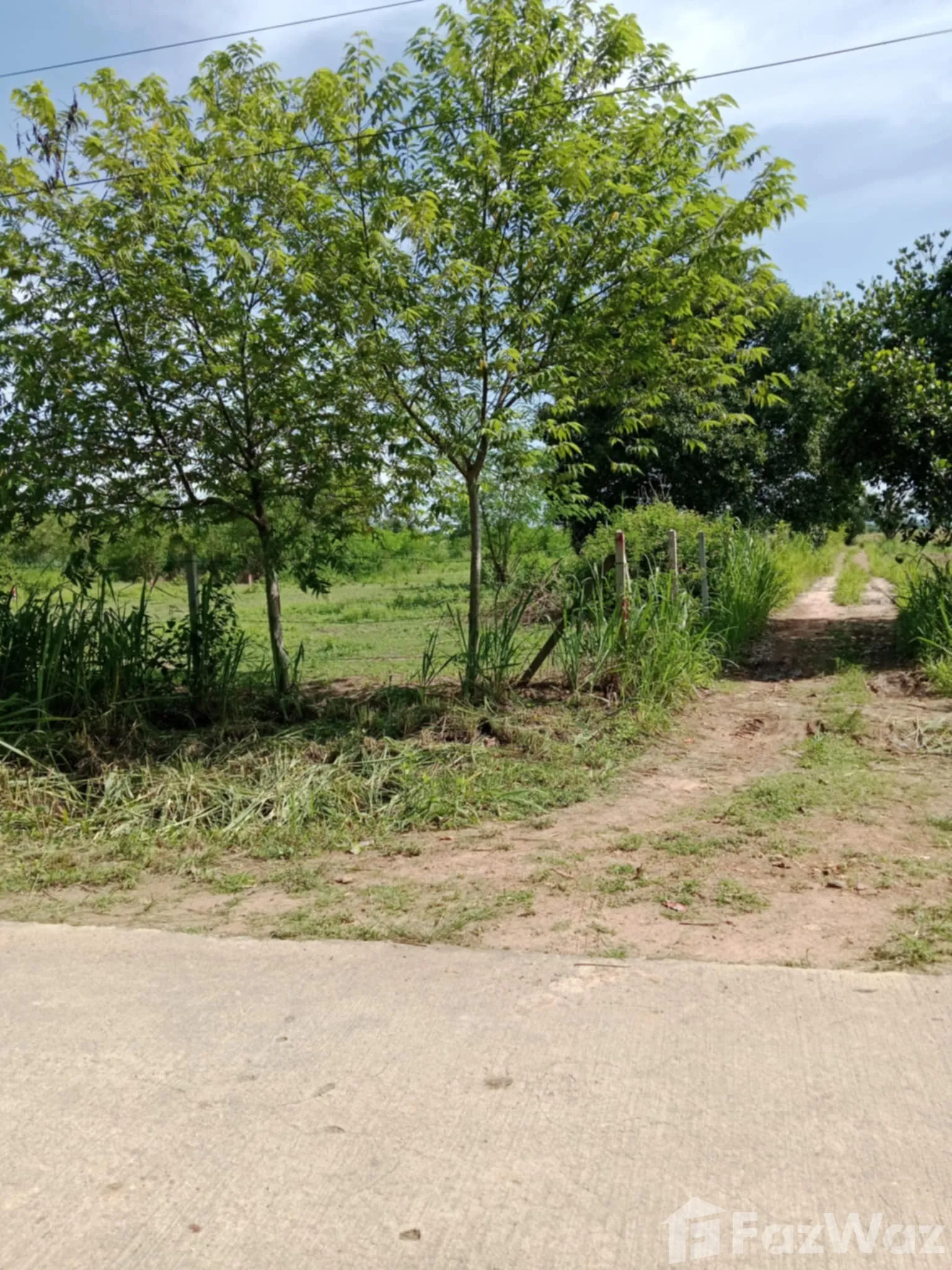 Land for Sale in Thap Tai, Hua Hin for ฿250,000 | U5551357