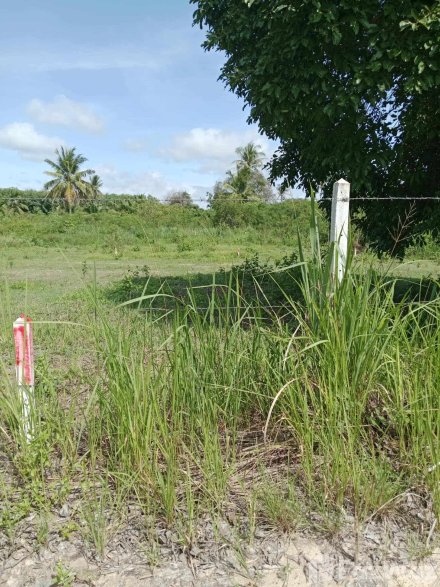 Land for Sale in Thap Tai, Hua Hin for ฿200,000 | U5551358