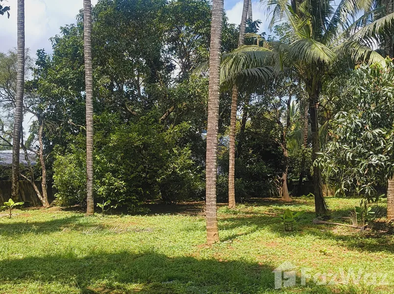 30 Best Land Plots for Sale in India - FazWaz.in