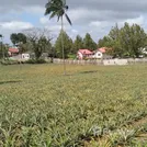 30 Best Land Plots for Sale in the Philippines - FazWaz.ph