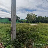 Immobilie kaufen in Koh Samui, Surat Thani - 2,180 Angebote | FazWaz.de