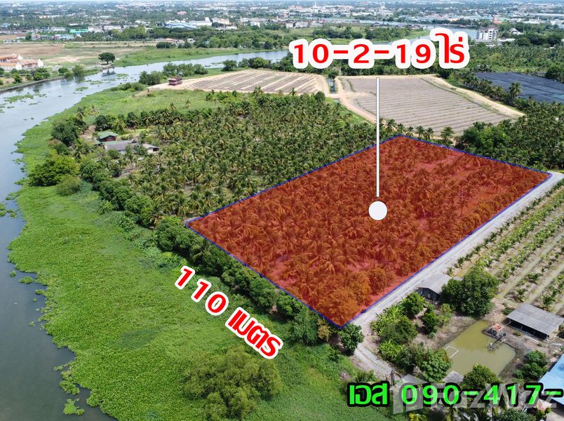 ประกาศขายที่ดิน ใน บ้านใหม่, สามพราน - 2 ยูนิต | FazWaz.co.th