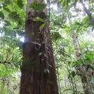 30 Best Land Plots for Sale in Brazil - FazWaz.com.br